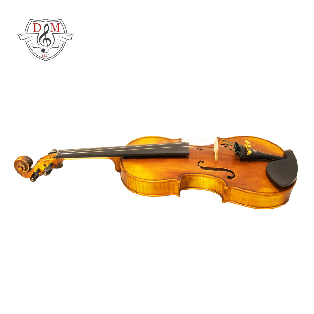 قیمت ویولن | خرید ویولن با ارسال رایگان | فروش اقساطی ویولن - دلشاد موزیک