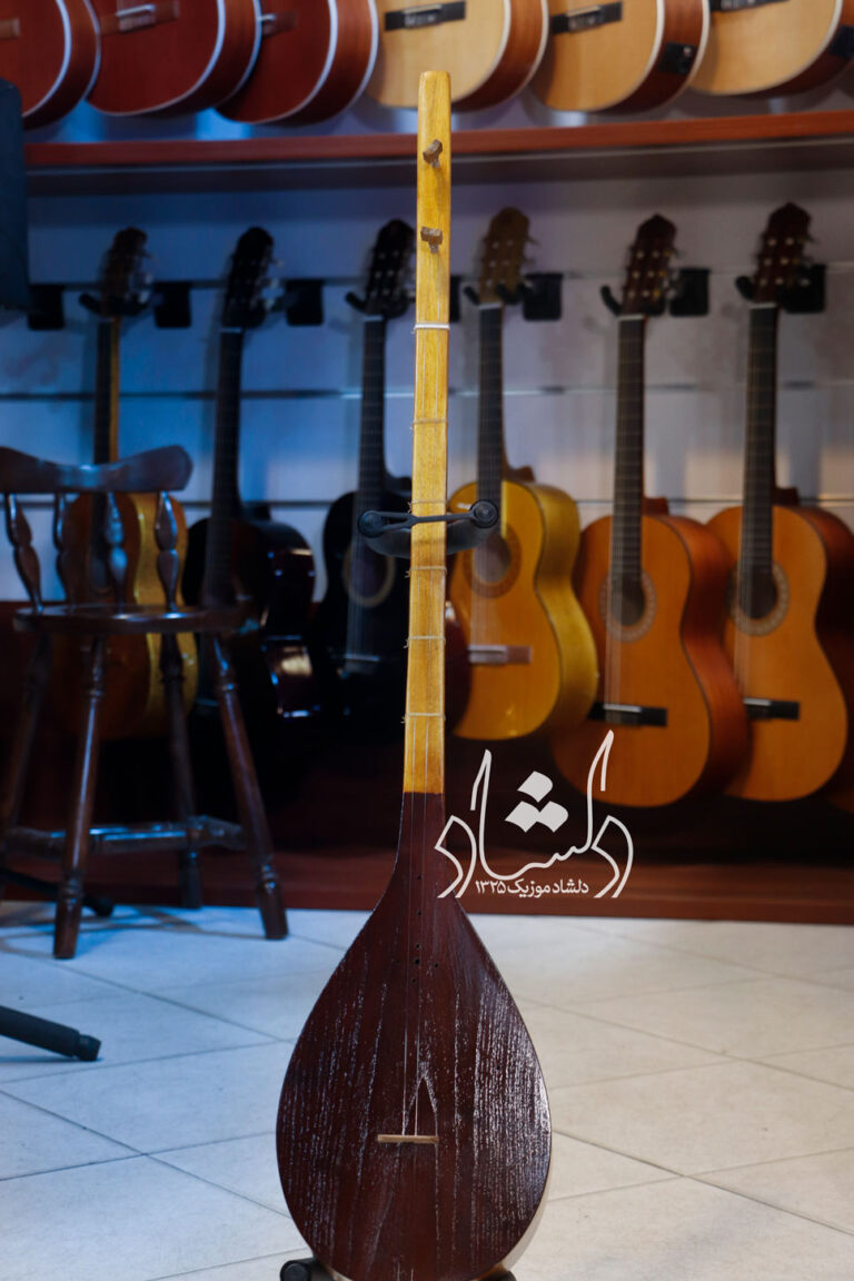 معرفی ساز دوتار و تاریخچه آن | دلشاد موزیک