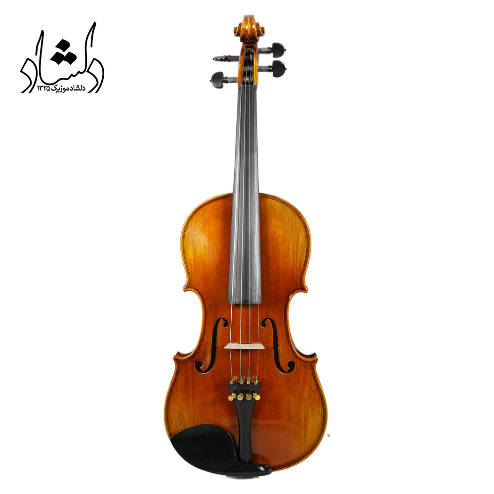 معرفی 30 تا از بهترین ویولنیست بزرگ جهان | دلشاد موزیک